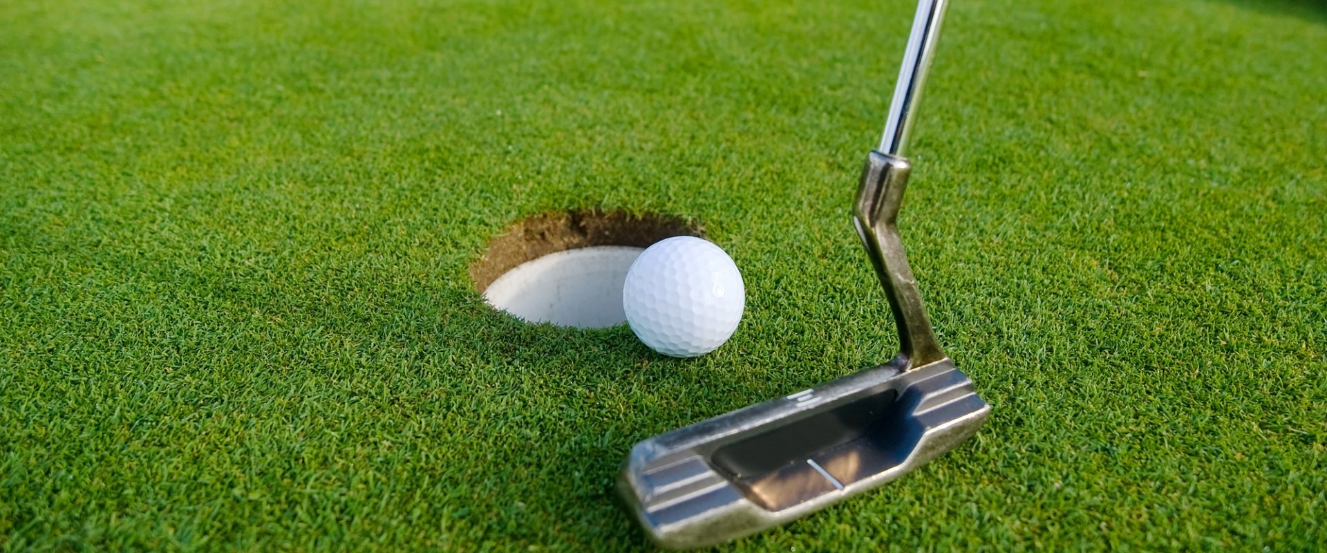 Everything You Need to Know About Putters